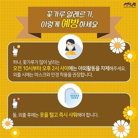 기침 나고 눈이 따갑다면가을철 꽃가루 알레르기 주의 네이트 뉴스