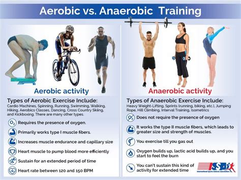 Aerobic Vs Anaerobic Exercise Anaerobic Exercise Aerobics Aerobic