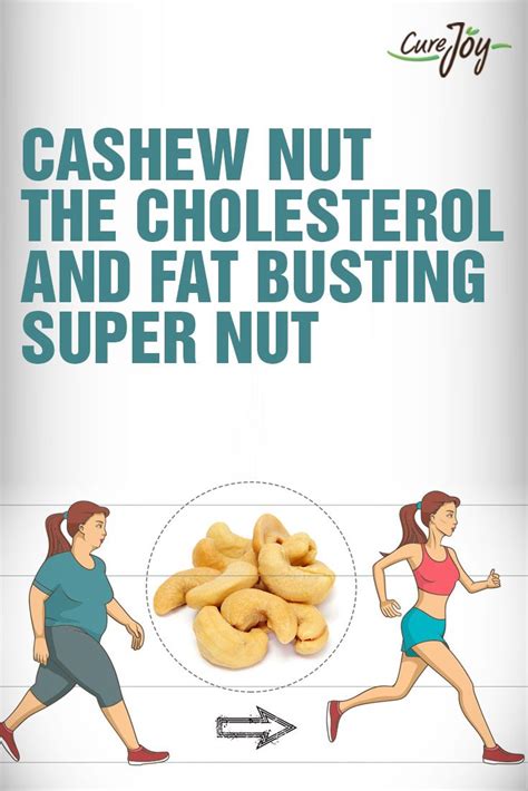 Cashews High In Cholesterol At Paulette Flores Blog