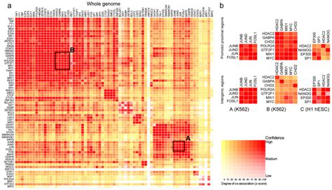 co association between transcription factors download scientific diagram