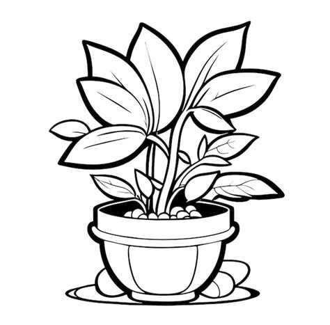 Página 2 Imágenes De Esquema Colorear Planta Descarga Gratuita En
