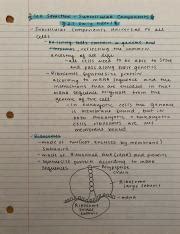 Unit AP Bio AP Classroom Notes Pdf Course Hero