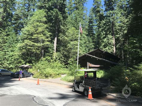 Ohanapecosh Campground Mount Rainier National Park Wa Latest
