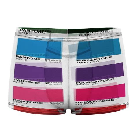 Shades Of Pantone Colors Mens Mesh Boxer Briefs Cooling Breathable