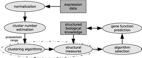 Biological Cluster Evaluation For Gene Function Prediction Journal Of Computational Biology