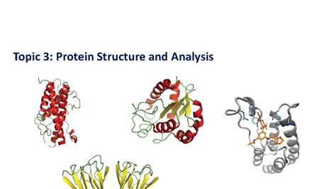 Topic 3 Protein Structure And Analysis Key Concepts And Learning