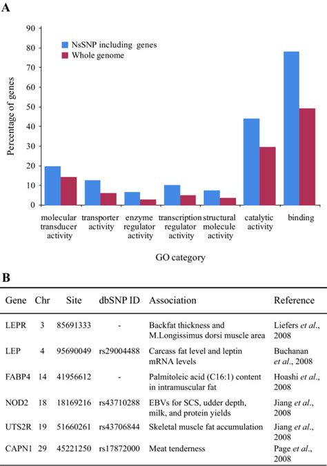 functional annotation of the genes containing nssnps a gene ontology