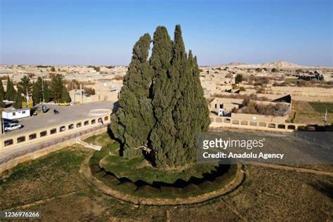 Sarve Photos And Premium High Res Pictures Getty Images