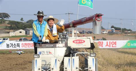 볍씨 직접 논에 파종 건답직파 재배 성공