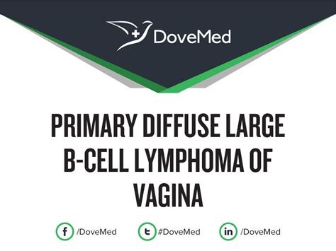 Primary Diffuse Large B Cell Lymphoma Of Vagina