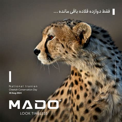 ‎صفحه رسمی برند مادو‎ Madoleather • Instagram Photos And Videos