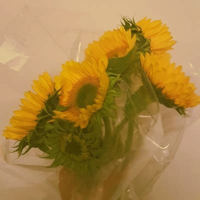 Yellow Yellow Yellow Tumbex Yellow Yellow Yellow Tumbex