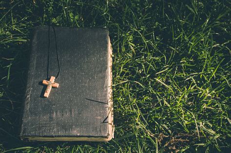 빈티지 오래 된 성경 책 그런 지 커버 나무 기독교 십자가와 질감 레트로 스타일 잔디 배경 이미지 0명에 대한 스톡 사진 및 기타 이미지 Istock