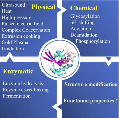 Schematic Diagram Highlighting Physicochemical And Enzymatic Methods Download Scientific