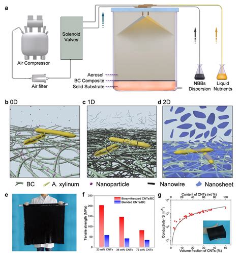 Figure IMAGE EurekAlert Science News Releases