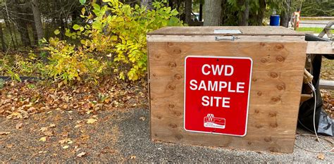 Help Slow The Spread Of Cwd This Deer Season Onfocus
