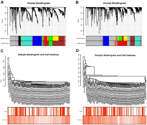 Gene Coexpression Module Analysis A Gene Dendrogram And Identified Download Scientific