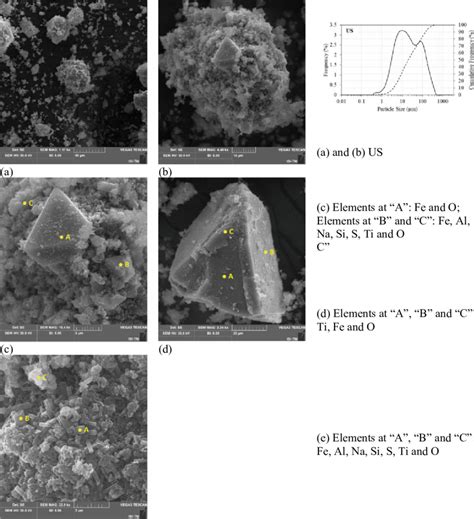 Us Morphology And Particle Size Distribution Download Scientific Diagram