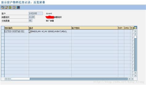 sap销售流程详解 csdn博客