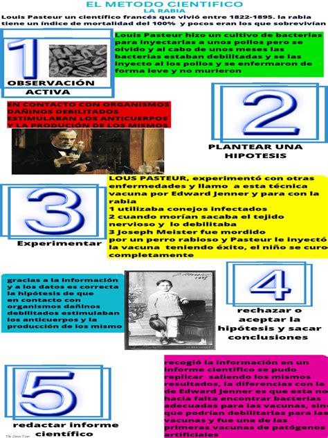Infografía Del Método Científico Pdf Luis Pasteur Rabia