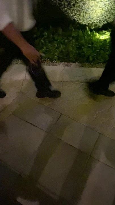 Free Resort Porn Videos Xhamster Free Resort Porn Videos Xhamster