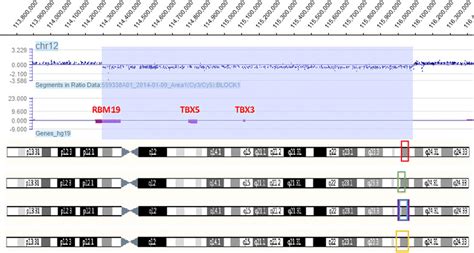 Array Cgh Profile Of Chromosome 12 Red Frame At The Chromosome 12 At Download Scientific