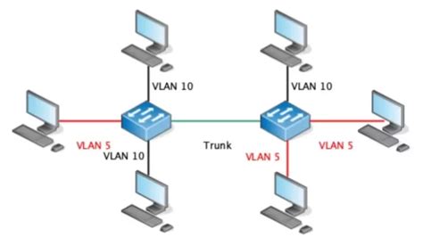 Apa Itu Trunk Pengertian Hingga Fungsi Dalam Jaringan