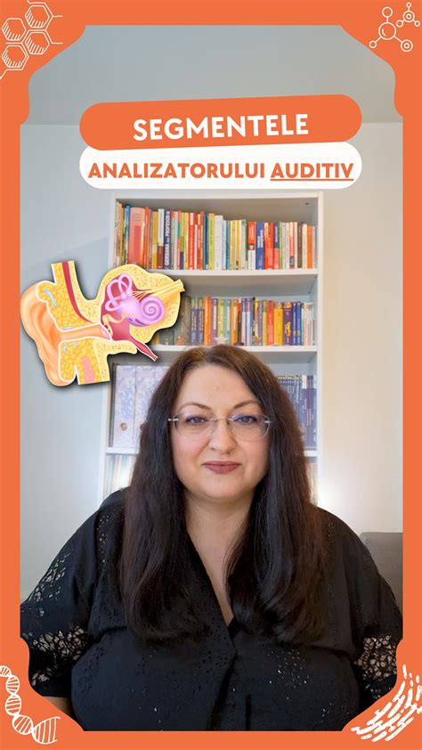 🔬 Adenohipofiza Glanda Cheie A Sistemului Endocrin 💡 Adenohipofiza