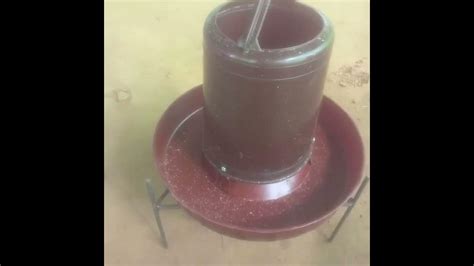 সোনালি মুরগি বয়লার মুরগি নতুন পদ্ধতি কিভাবে পানি দেবেন দেখুন ভিডিওটা Youtube