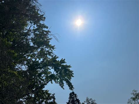 Katy Iliopoulou On Linkedin ⚡ 🌻summer Solstice🌻 ⚡ 🌻♥️may Apollos Light Shine And Heal…