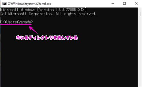 pythonでじゃんけんゲームを作ってみよう！小学生からのpython入門