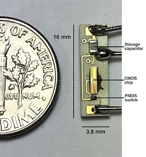 New Pacemaker Doesnt Need Wires Or A Battery Futurity
