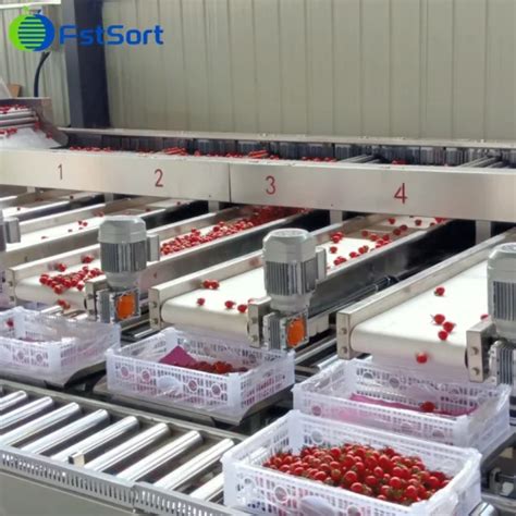 Commerical Fruit Dates Jujube Kumquat Orange Size Grading Machine Fruit