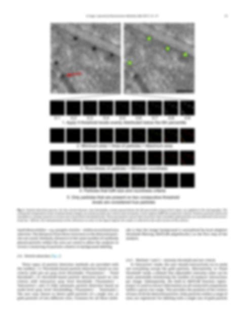 Solution Automated Gold Particle Quantification Of Immunogold Labeled