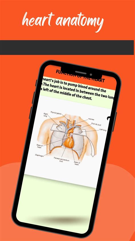 Heart Anatomy Apk For Android Download
