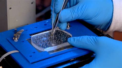 Microfluidics Free Single Cell Genomics With Templated Emulsification