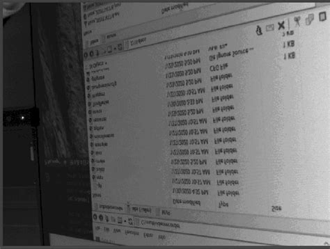 Bitmap Flip A Vcl Timage Vertically And Stretch Stack Overflow