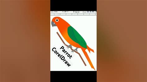 Coreldraw Parrot Parrotlover Lunar Computer College Youtube