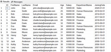 Mastering Data Cleaning Using Excel A Step By Step Guide With Examples
