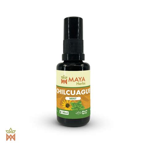 Chilcuague Heliopsis Longipes Best Selection Maya Herbs