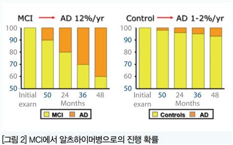 인지기능장애와 치매의 진단 및 치료