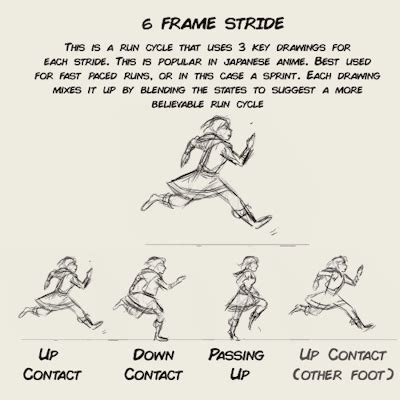 Taking It Easy On Tumblr Animation Run Cycle Notes For My Upcoming D Animation Video Course