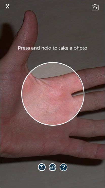 Salma Moustafa On Linkedin Xd Flutter