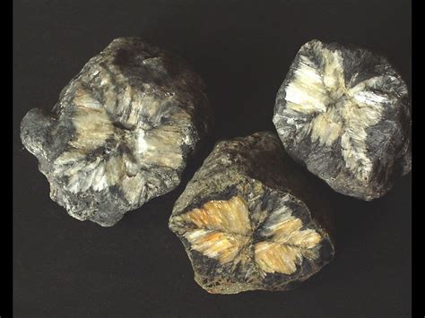 Хиастолит (разн. андалузита), Chiastolite, Chiastolith, • Mineral ...