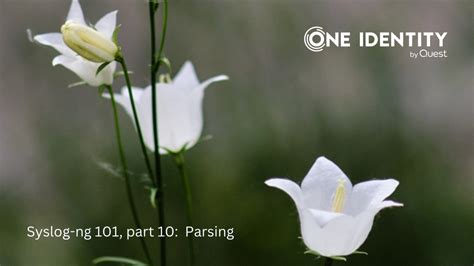 Syslog Ng 101 Part 10 Parsing Dt Asia