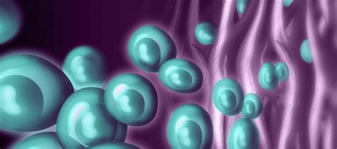 Why Reprogram With Synthetic Rna Regmednet