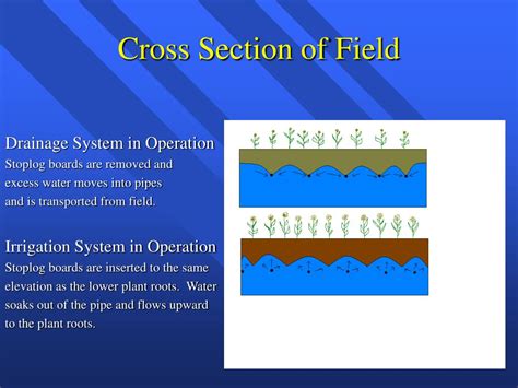 Ppt Innovative Subsurface Irrigation For Enhanced Crop Yields