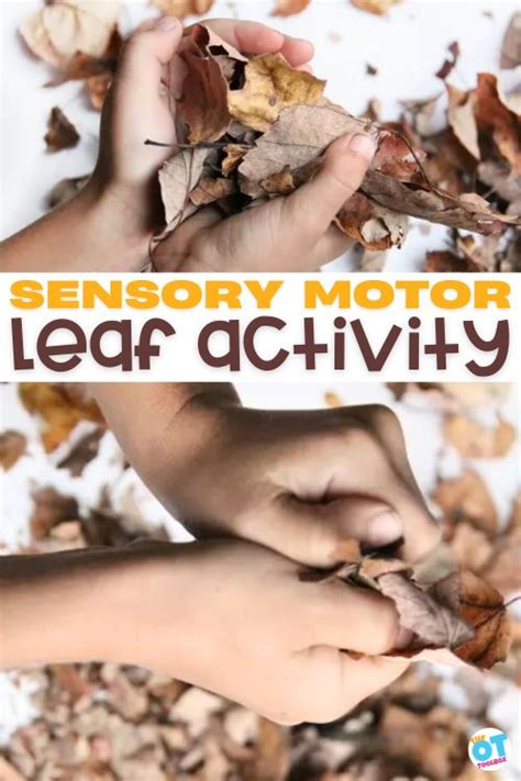Fall Leaf Auditory Processing Activities The Ot Toolbox Auditory