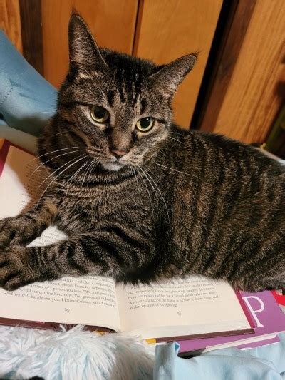 When Youre Trying To Make Some Progress In Books Tumbex