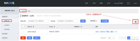 32 nacos配置文件中心，使用实例（springcloud） springcloud nacos实例 csdn博客